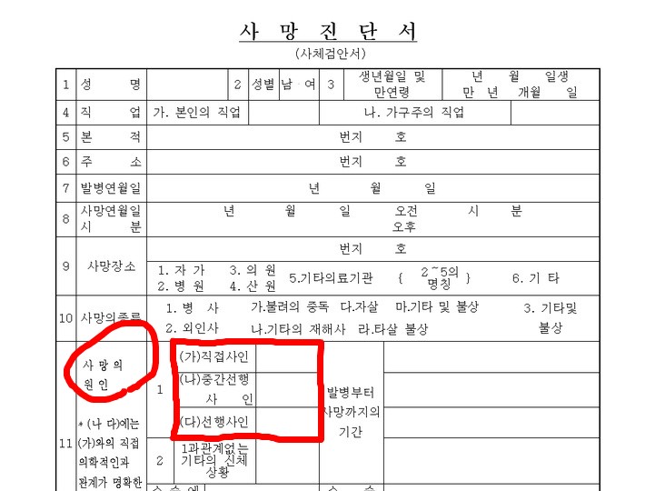 사망 진단서 네이버 블로그
