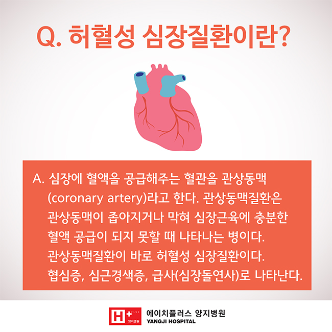 흉통 등 증상 나타났다면 진단 치료 서둘러야 허혈성 심장질환 허혈성심장질환 심장병 에이치플러스양지병원 양지병원 심장