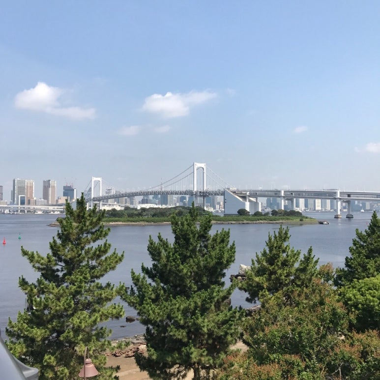 신주쿠에서 오다이바가는법린카이선 지도도쿄가볼만한곳오다이바자유의여신상 레인보우브릿지유리카모메 네이버 블로그