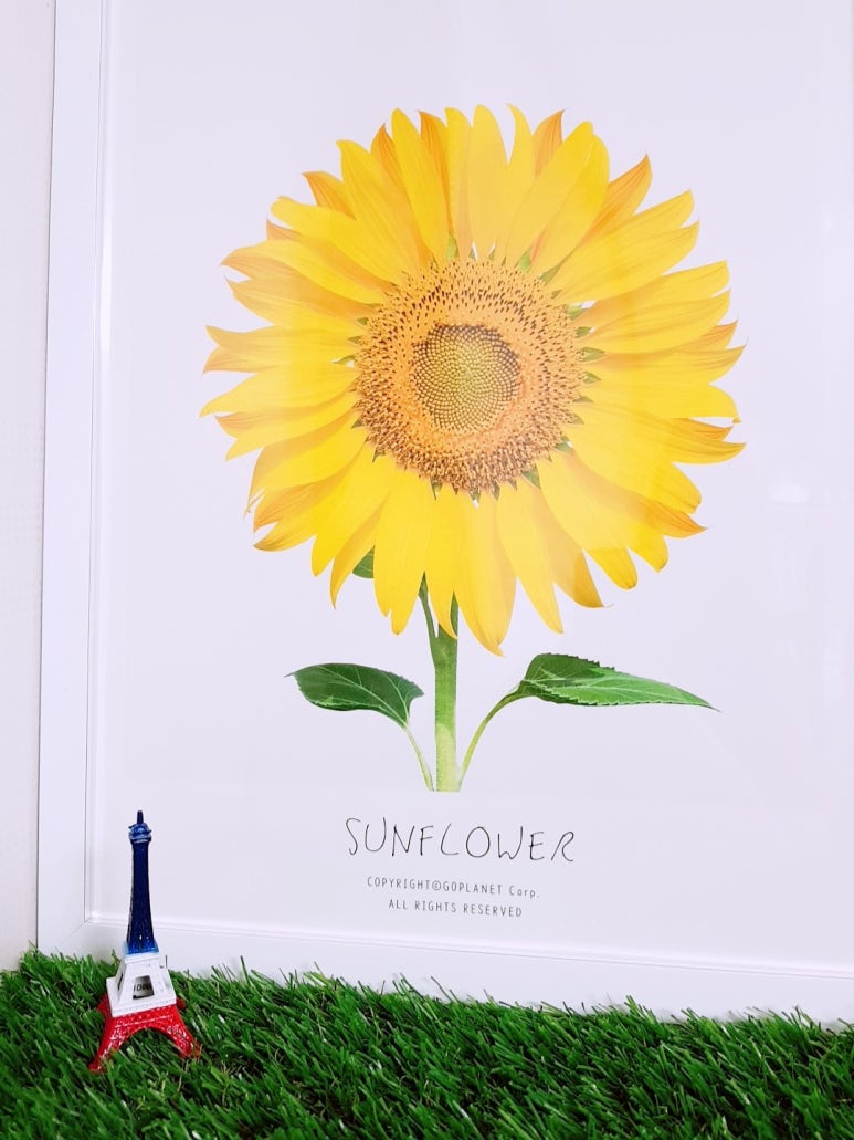 ♡인테리어♡해바라기그림액자 네이버 블로그