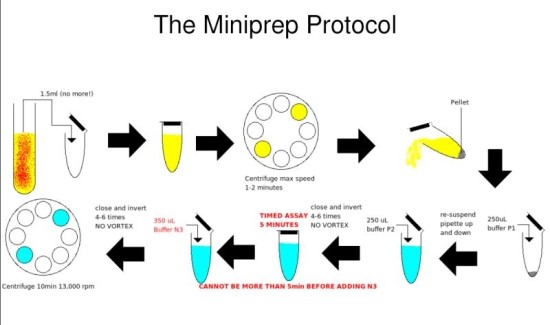 mini prep 개념 원리 방법 : 네이버 블로그