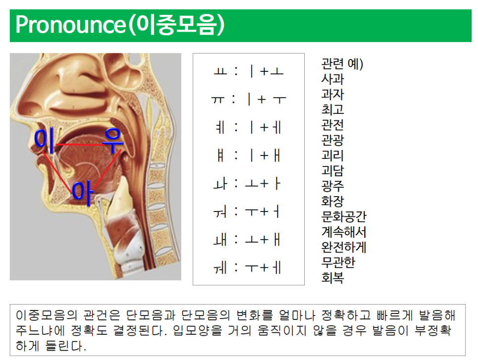 [발음연습] 단모음과 이중모음 : 네이버 블로그